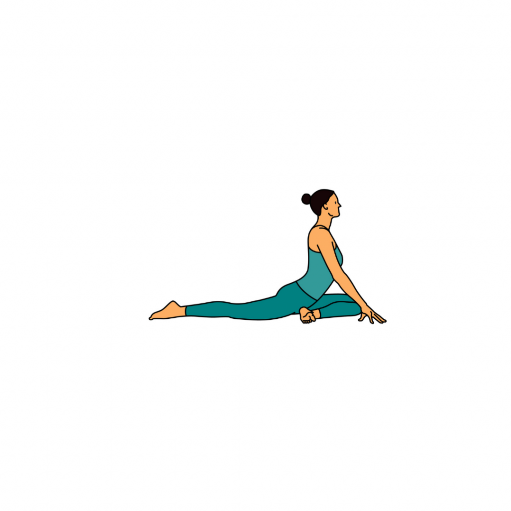 Yoga for Beginners | YogaRenew