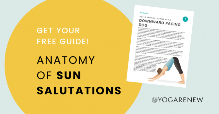 Anatomy of Sun Salutations | Surya Namaskar | YogaRenew