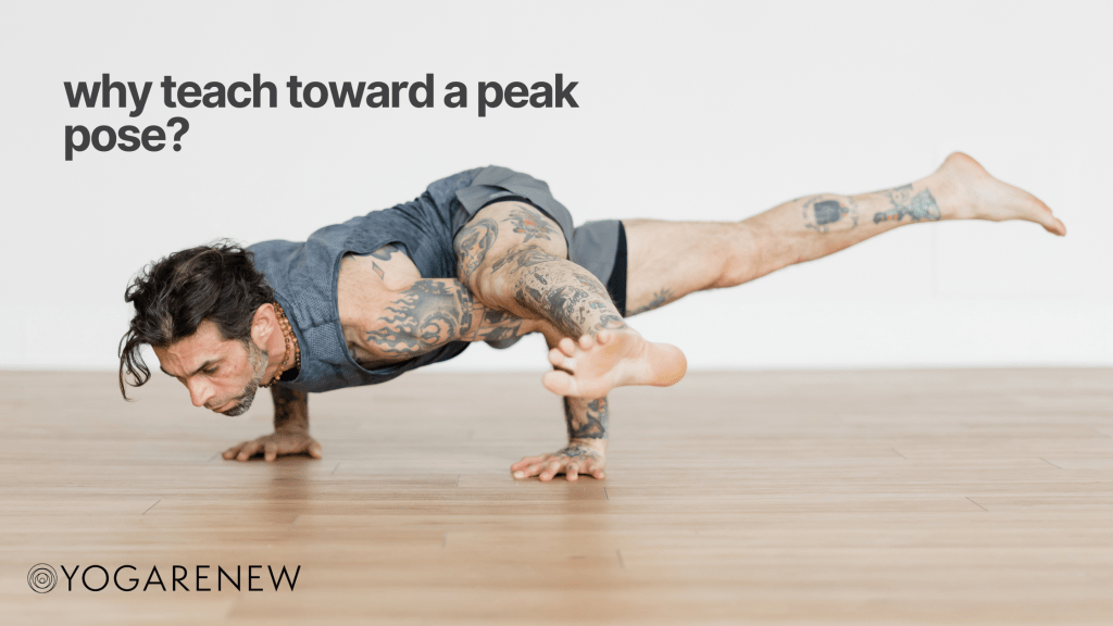 Why Teach to a Peak Pose in Yoga | YogaRenew