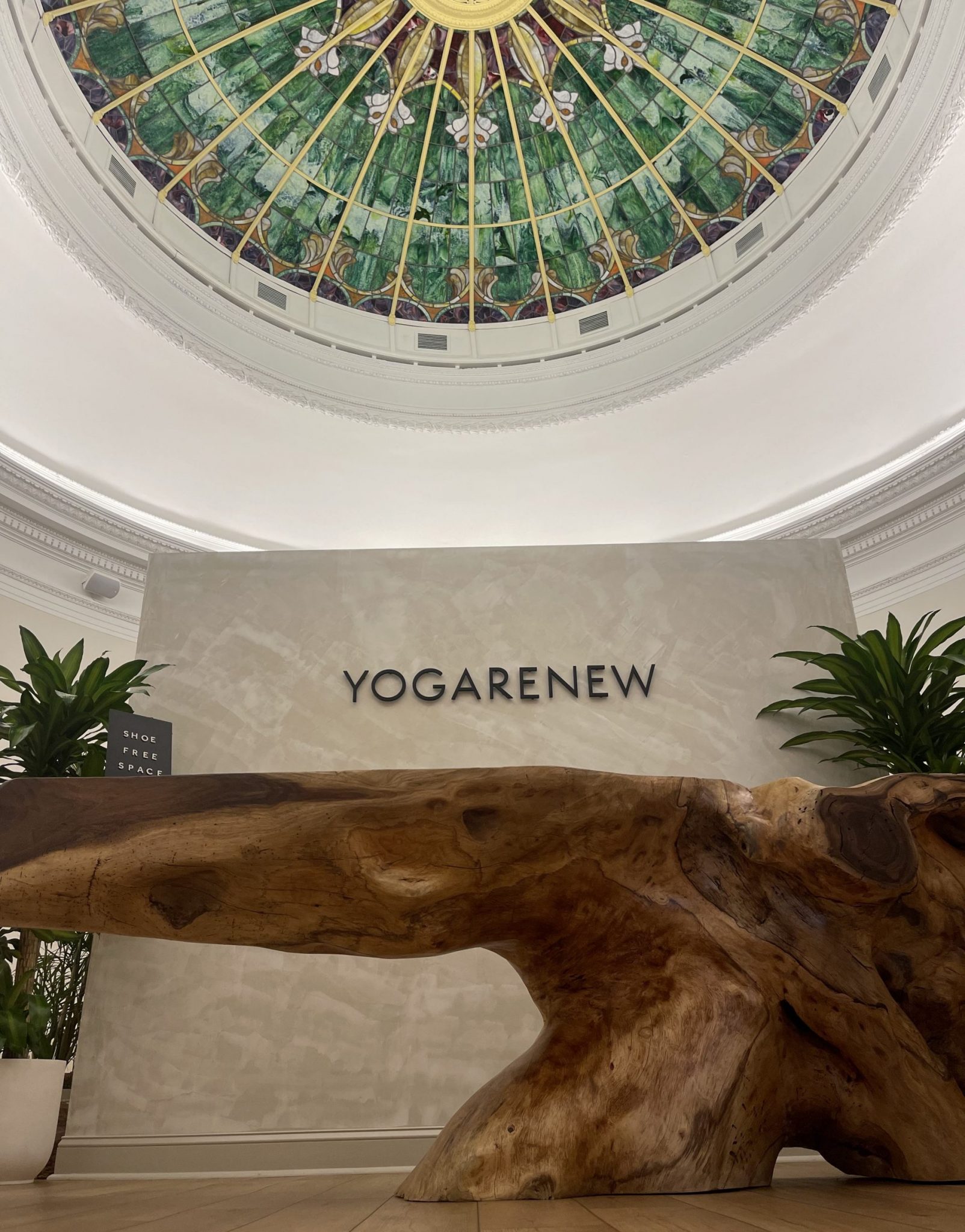 YogaRenew Hoboken | YogaRenew