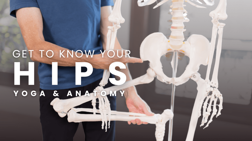 Get To Know Your Hips | YogaRenew