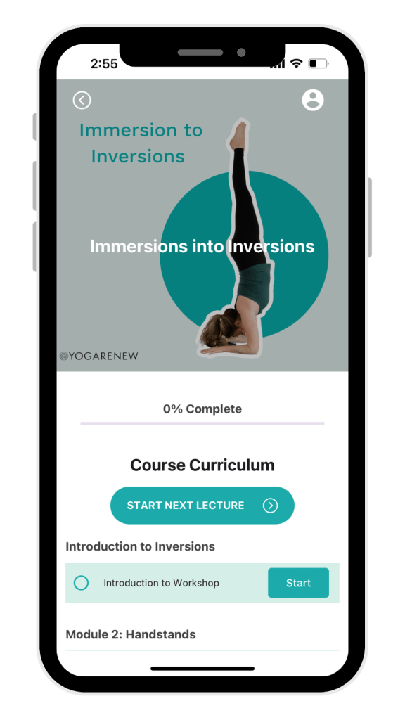Inversion Immersion | YogaRenew