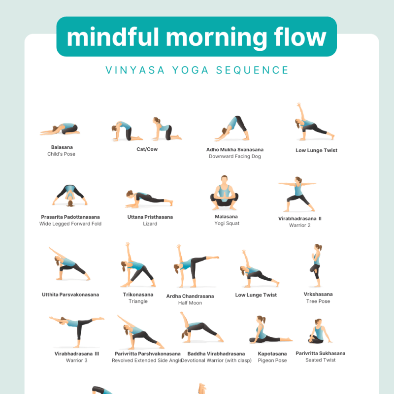 Hatha vs Vinyasa: What's the Difference? | YogaRenew