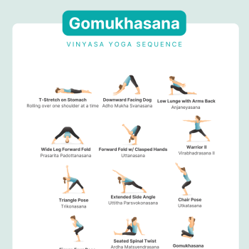 What is Yin Yoga? | YogaRenew