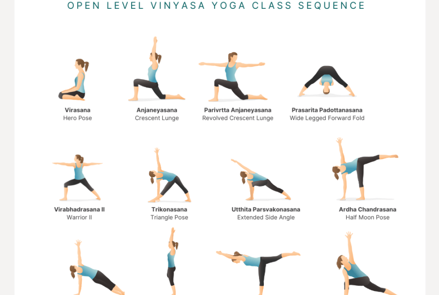 Hatha vs Vinyasa: What's the Difference? | YogaRenew