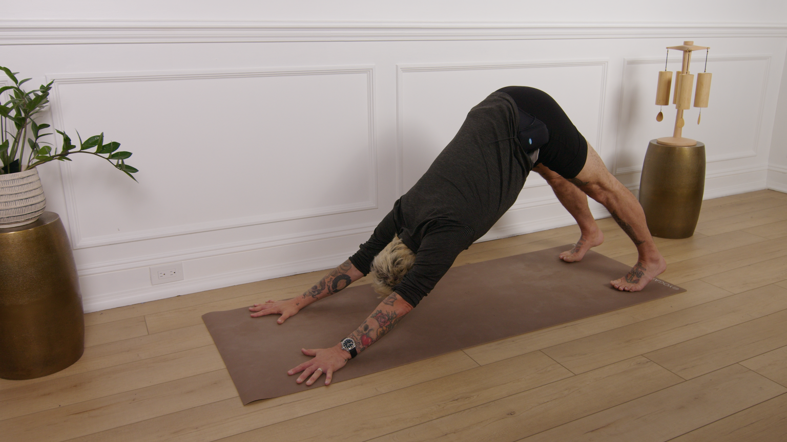 Downward Facing Dog | YogaRenew