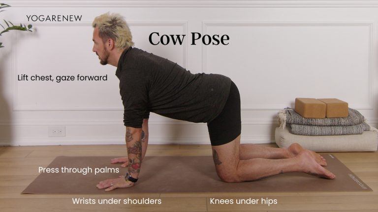 Cow Pose | YogaRenew