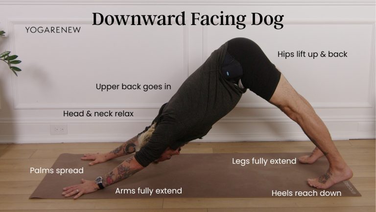 Downward Facing Dog | YogaRenew
