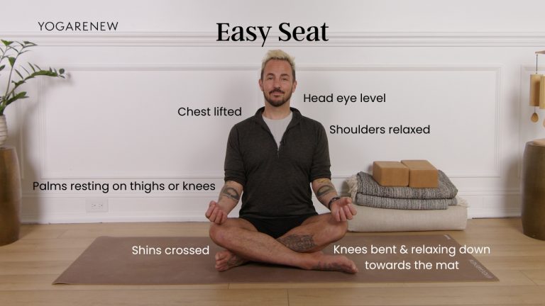 Easy Seat | YogaRenew