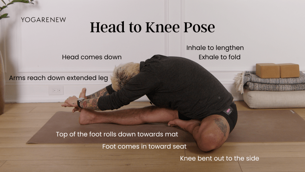 Head-to-Knee Pose | YogaRenew