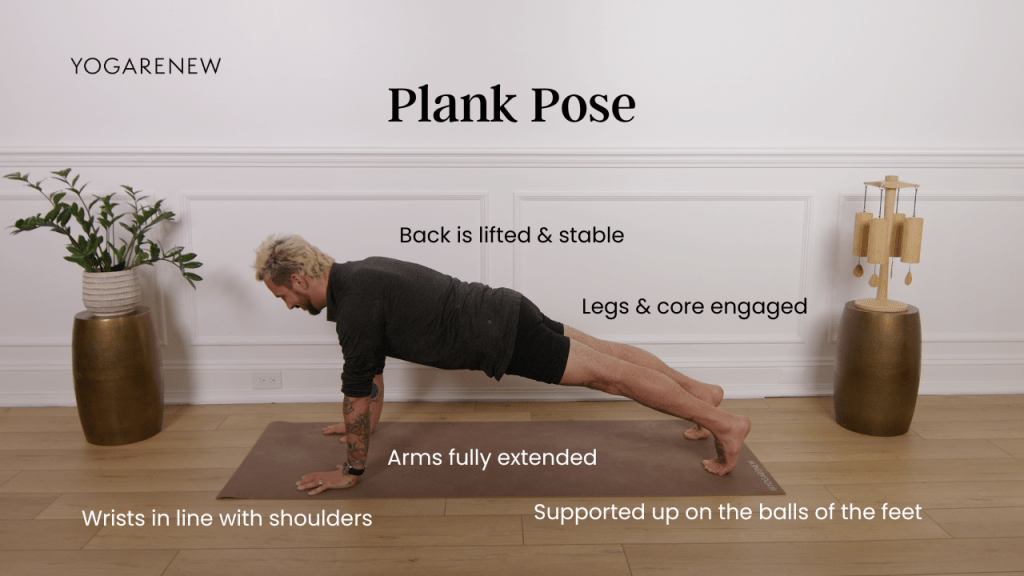 Plank Pose | YogaRenew