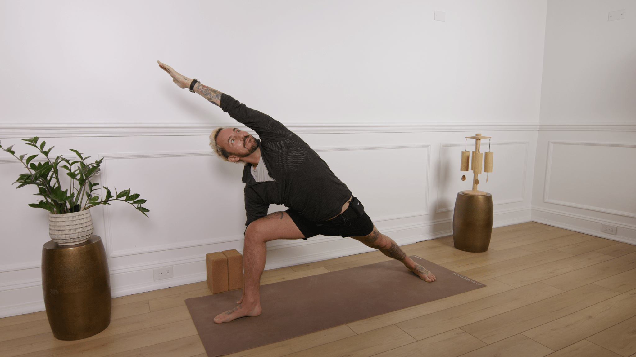Extended Side Angle | YogaRenew