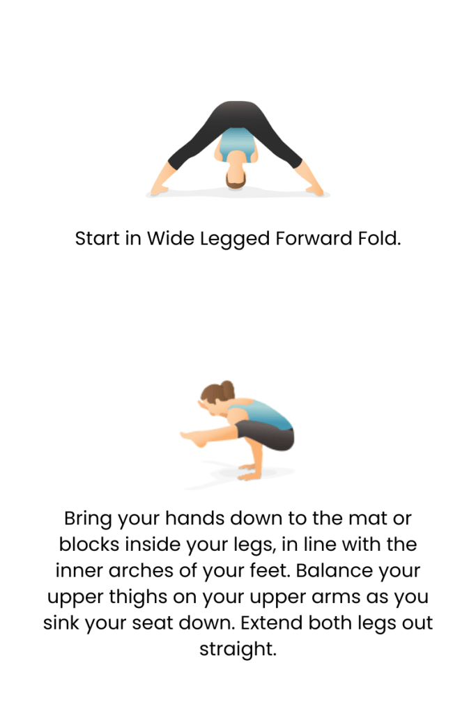 Firefly Pose | YogaRenew
