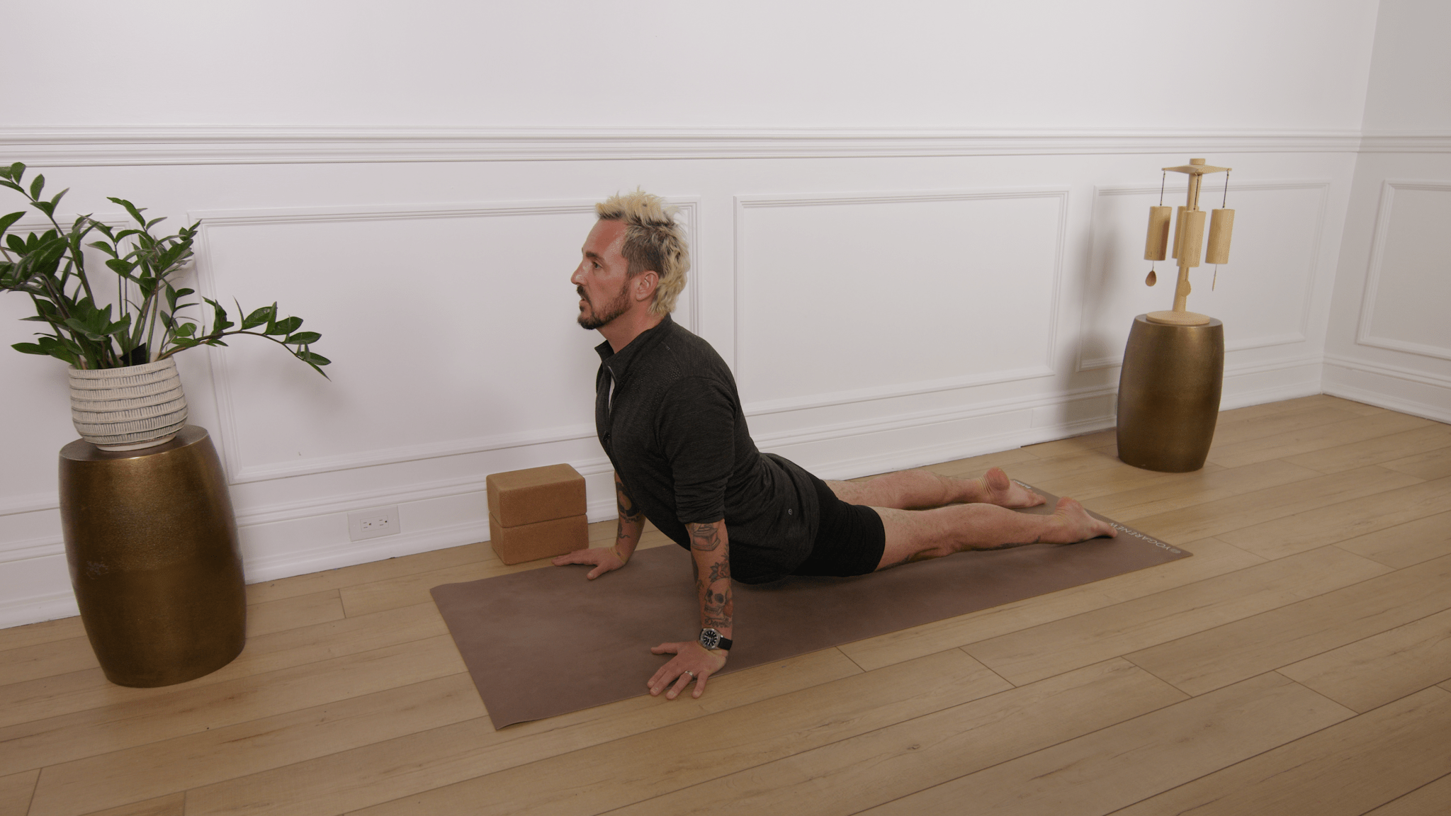 Upward-Facing Dog (Urdhva Mukha Svanasana) – Backbend