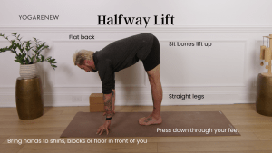 How to Practice Halfway Lift (Ardha Uttanasana) | YogaRenew
