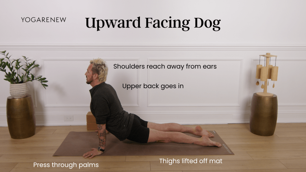 Upward-Facing Dog (Urdhva Mukha Svanasana) – Backbend
