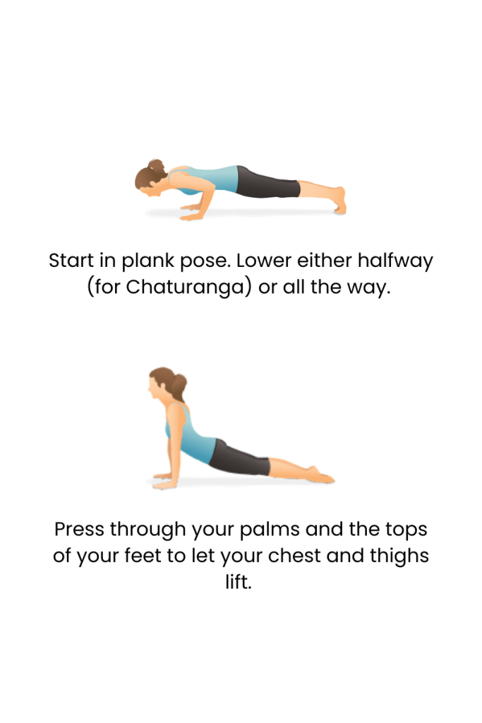 Upward-Facing Dog (Urdhva Mukha Svanasana) – Backbend