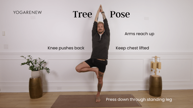 How To Tree Pose (Vrksasana) – Balance & Grounding